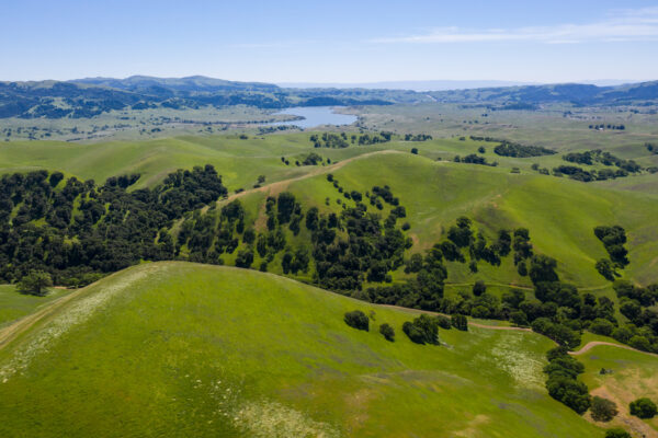 The Best Things to Do in Pleasanton, CA | Magic Moving